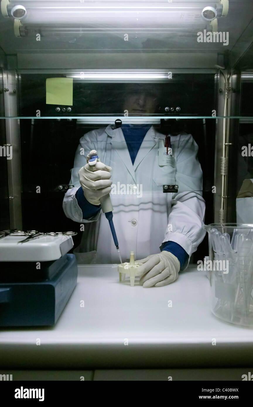 Scientist working in lab Stock Photo - Alamy