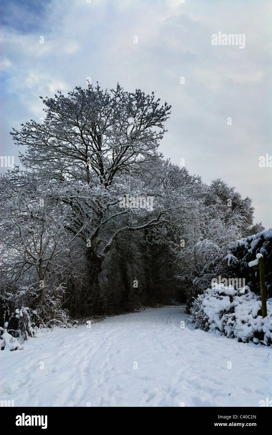 - Snow in Tadley, Hampshire. United Kingdom. Photographs taken during ...