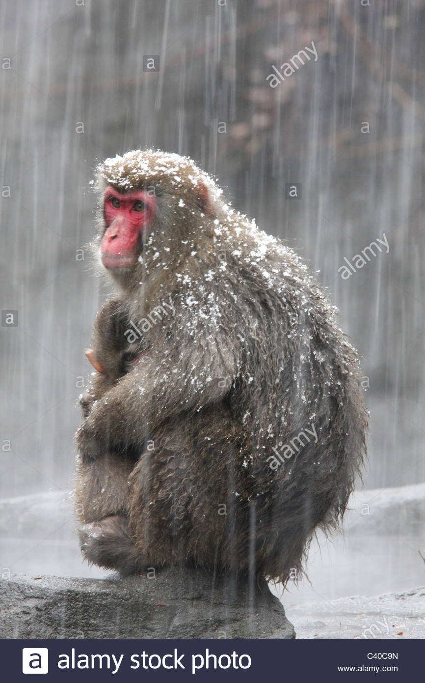 Hannah Storm Stock Photos & Hannah Storm Stock Images - Alamy