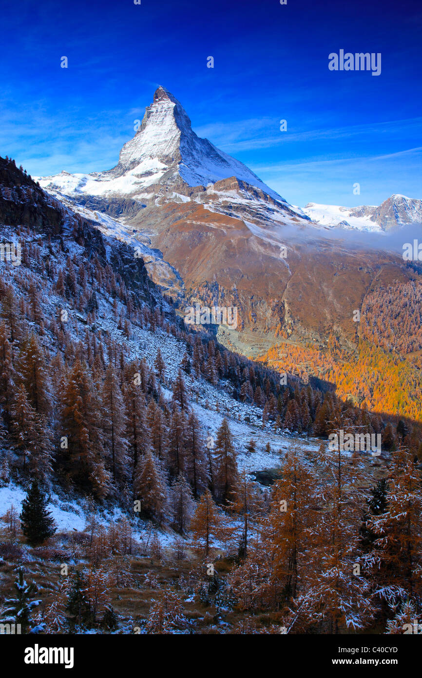 Alps, Alpine panorama, view, tree, mountain, mountains, mountain ...