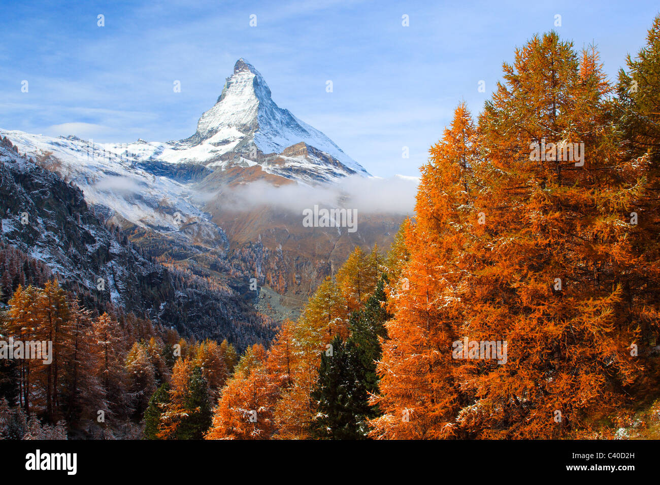 Alps, Alpine panorama, view, tree, mountain, mountains, mountain ...