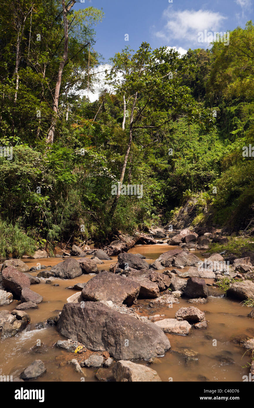 Impressions of Navua River, Pacific Harbour, Viti Levu, Fiji Stock ...