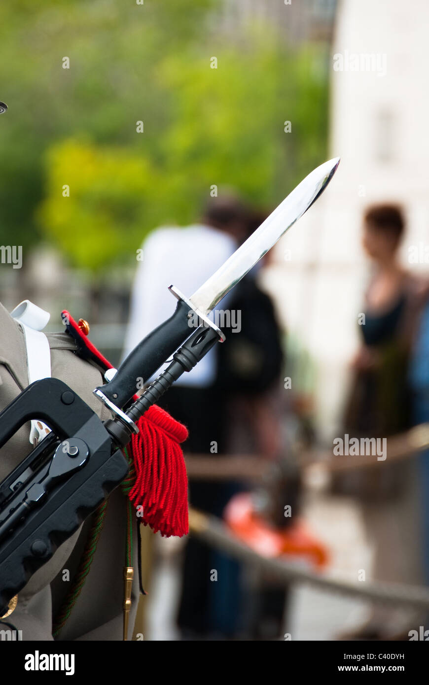 Modern French soldier's bayonet Stock Photo - Alamy