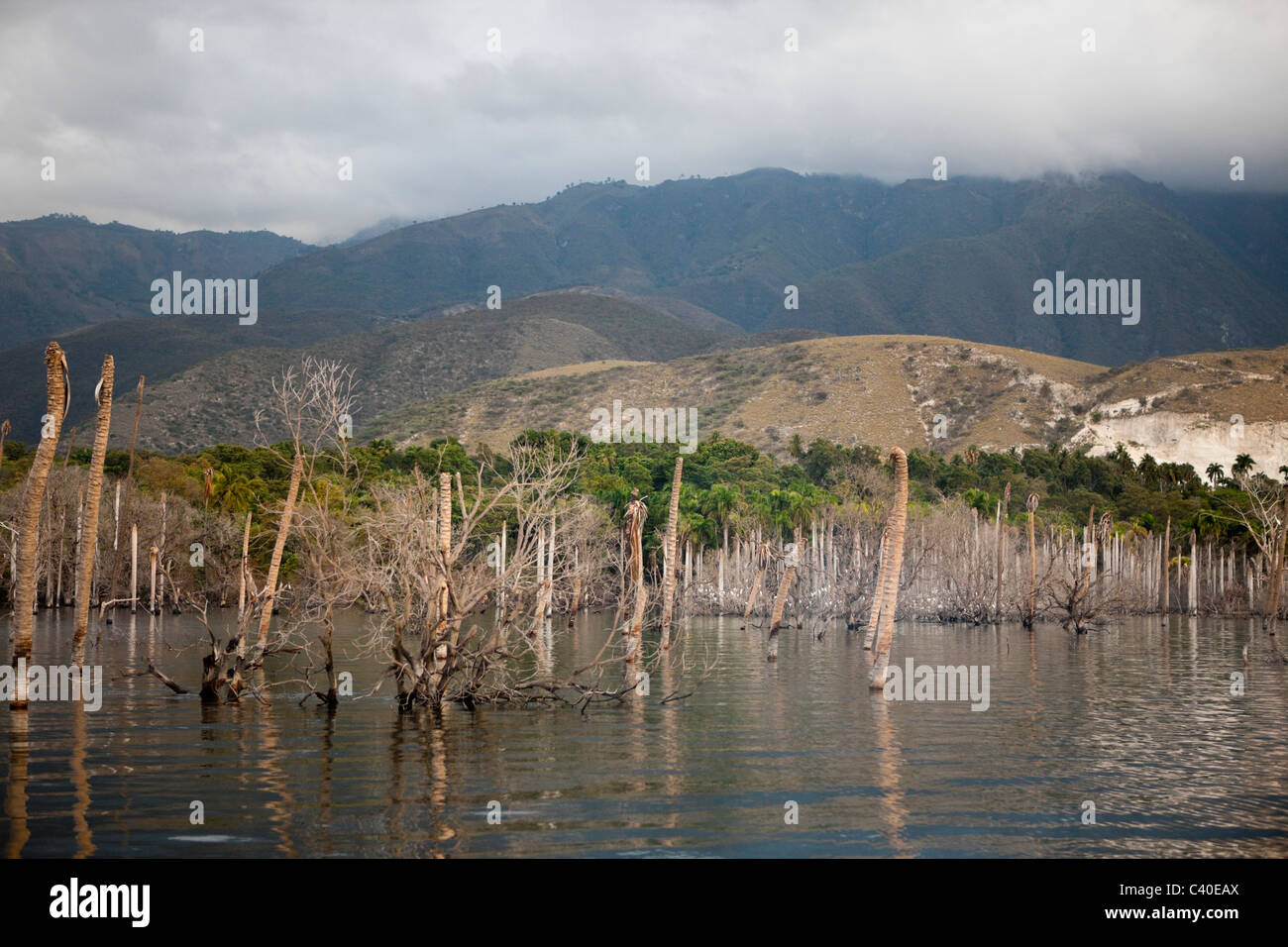 Impressions of Saltlake Lago Enriquillo, Isla Cabritos National Park ...