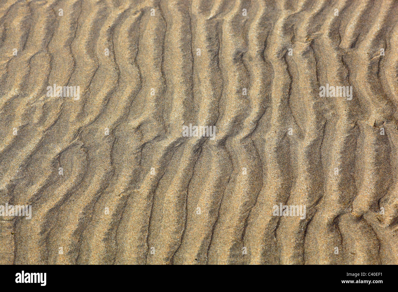 Detail, low, ebb, tide, form, shape, ribs, bodies of water, tides ...