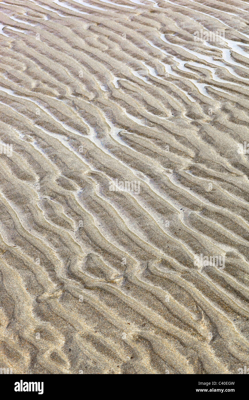 Detail, low, ebb, tide, form, shape, ribs, bodies of water, tides ...