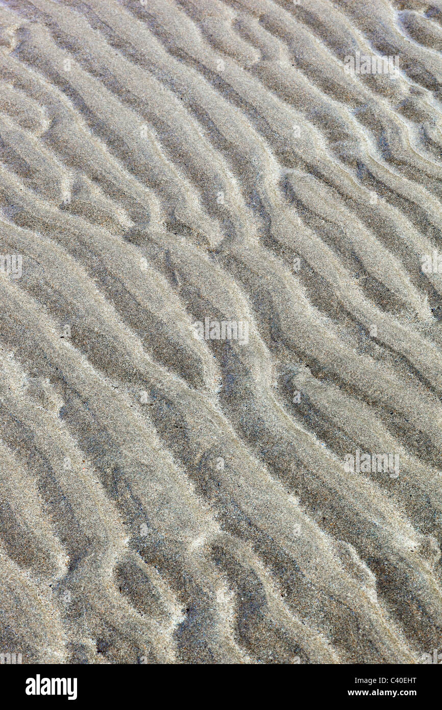 Detail, low, ebb, tide, form, shape, ribs, bodies of water, tides ...