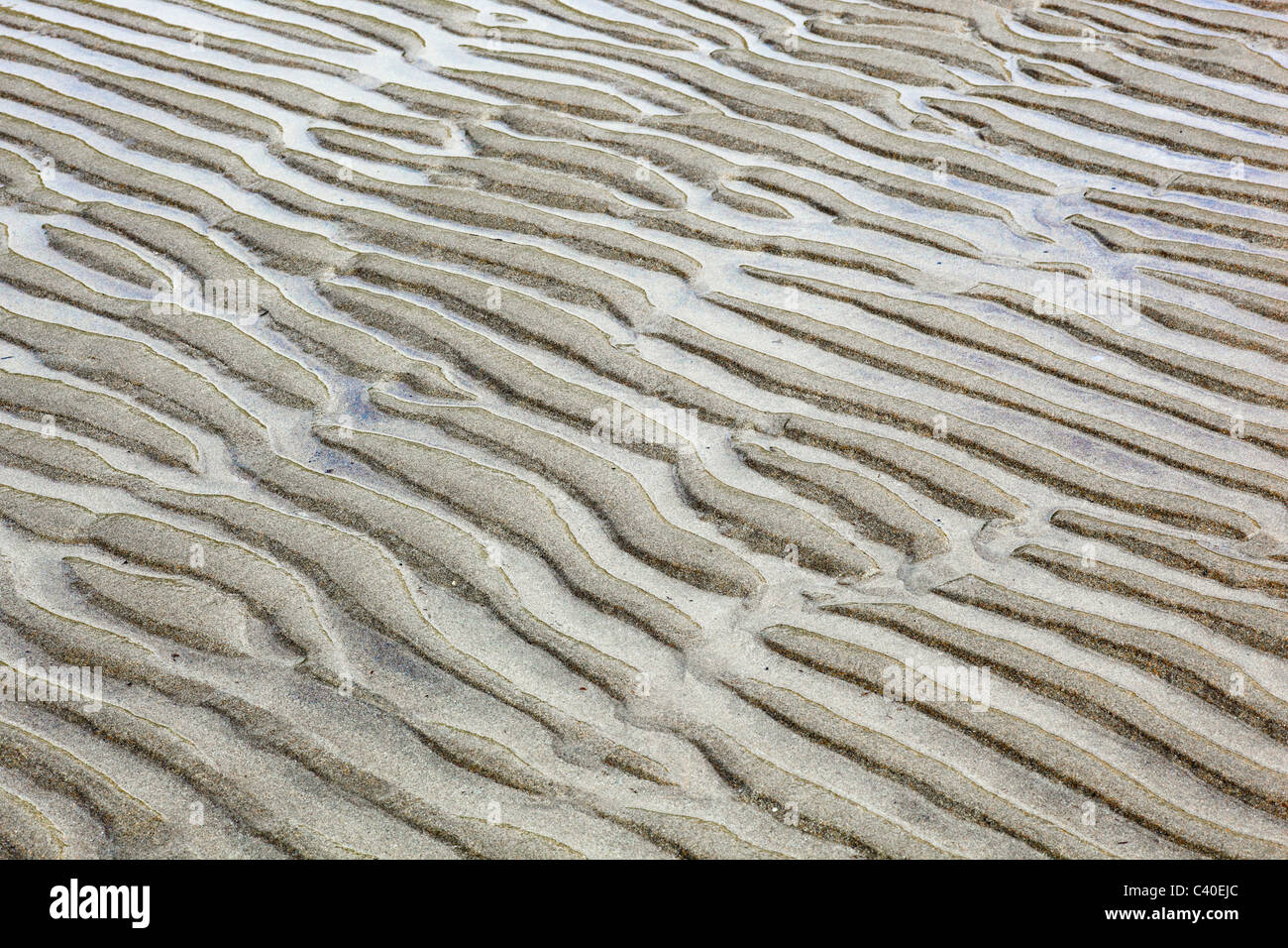 Detail, low, ebb, tide, form, shape, ribs, bodies of water, tides ...