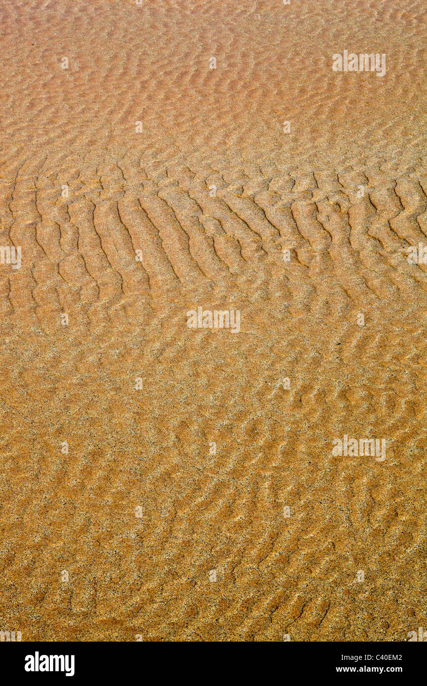 Detail, low, ebb, tide, form, shape, ribs, bodies of water, tides ...