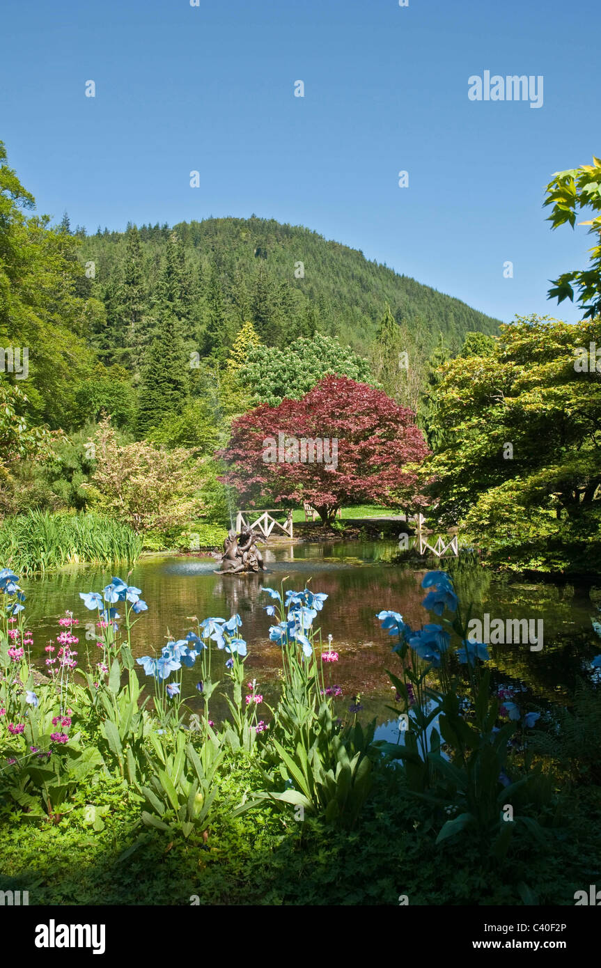 Pond Benmore Botanic Gardens Dunoon Argyll |& Bute Scotland Stock Photo ...