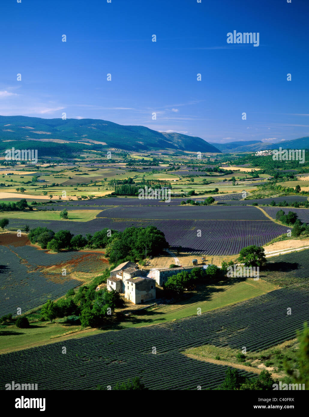 Aerial, Fields, France, Europe, Holiday, Horizon, Landmark, Lavender ...