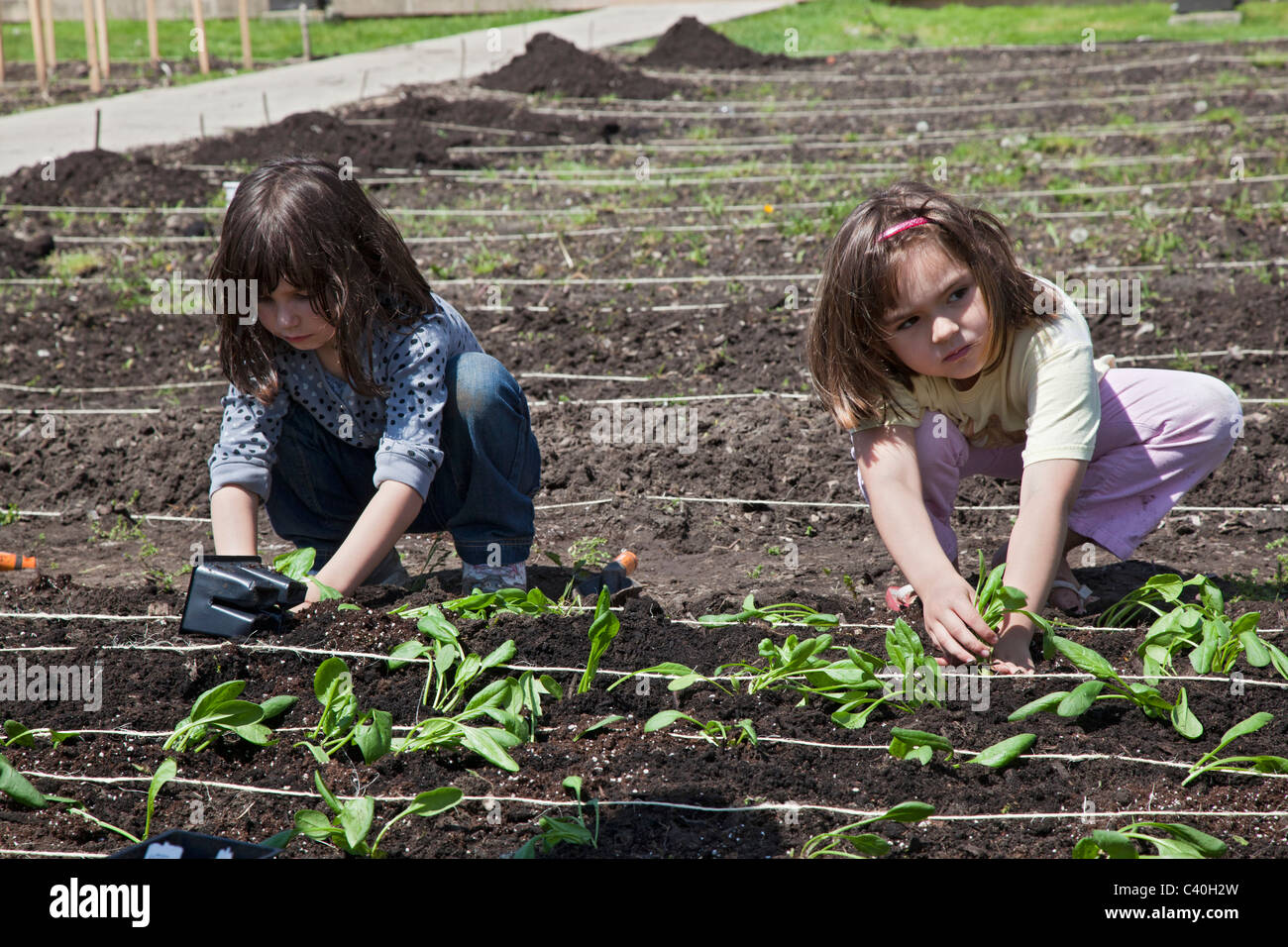 Girl Scouts Help Plant Garden to Grow Produce for Community Food Bank ...