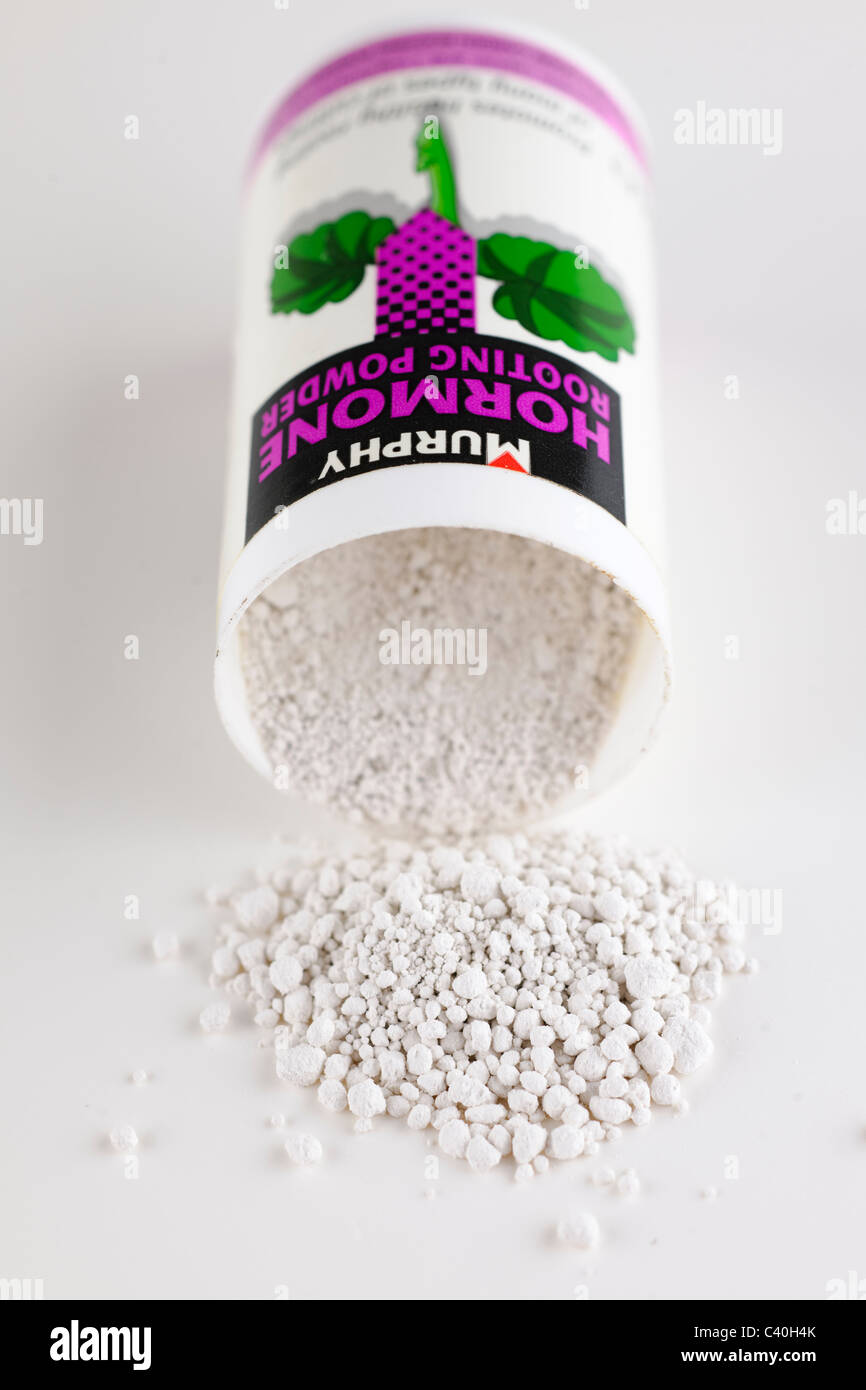 Rooting powder hi-res stock photography and images - Alamy