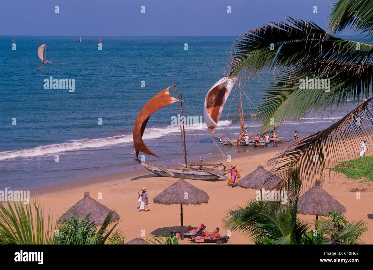 Beach in Negombo Stock Photo - Alamy