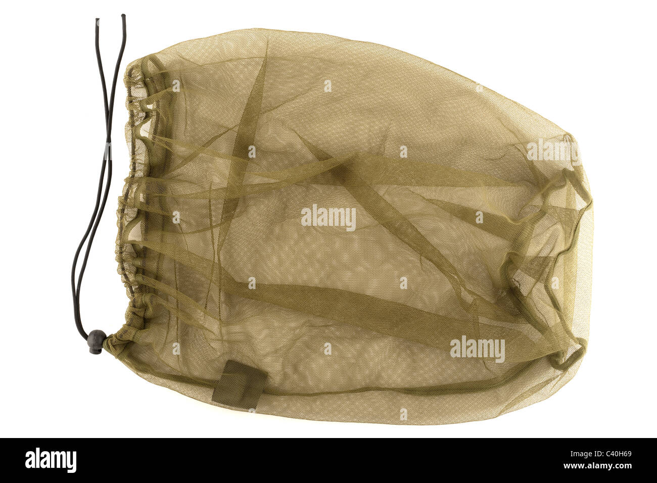 Mosquito head hi-res stock photography and images - Alamy