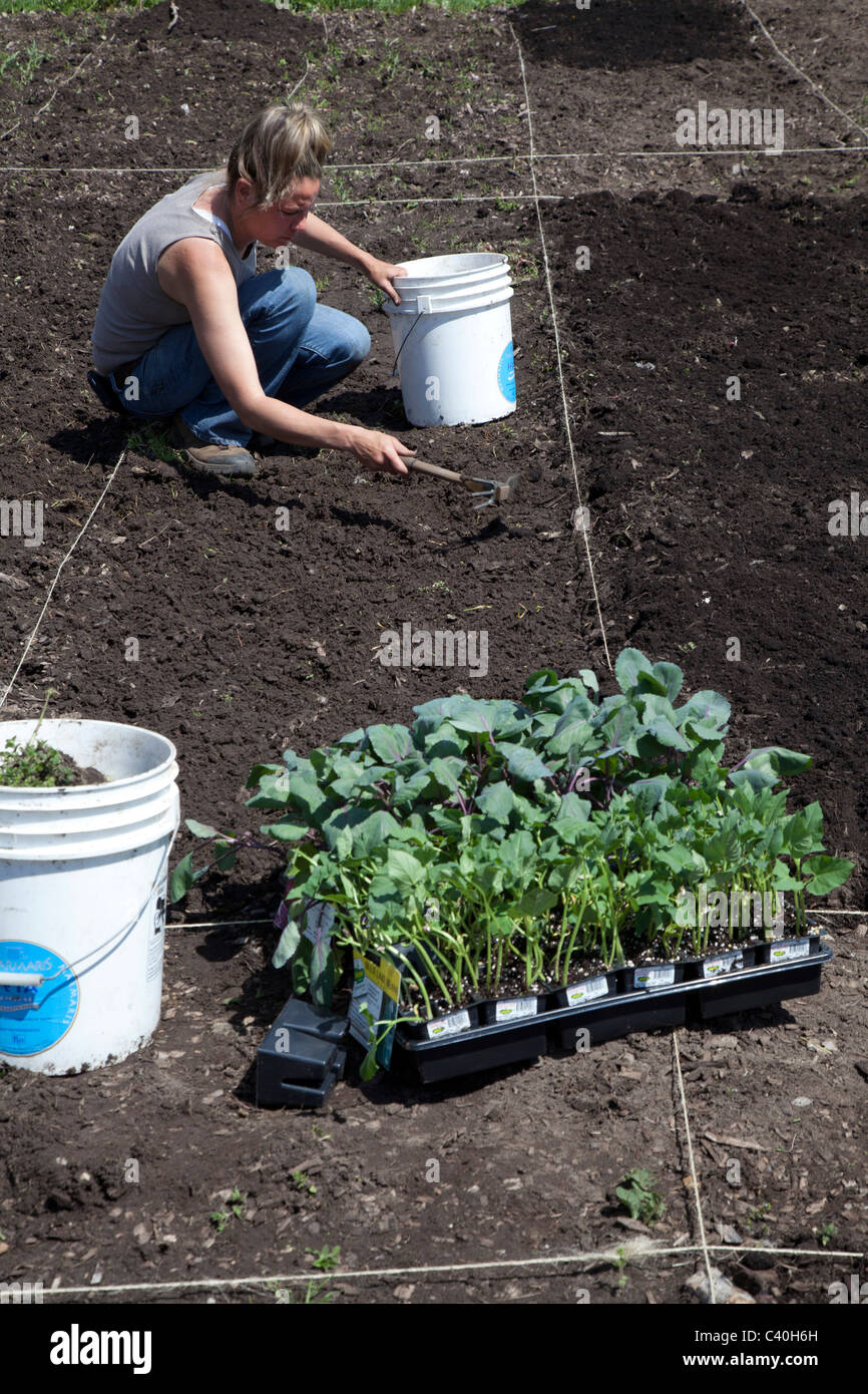 Bank planting hi-res stock photography and images - Alamy