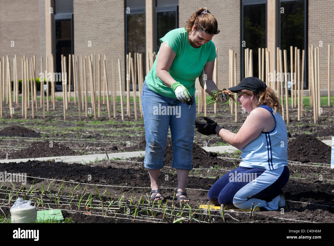 Garden bank planting hi-res stock photography and images - Alamy