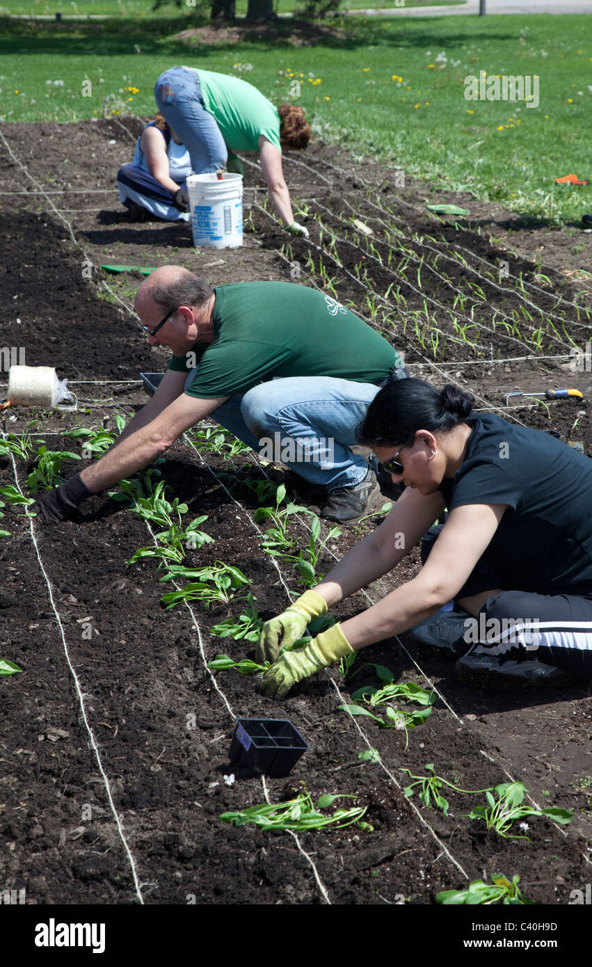 Bank planting hi-res stock photography and images - Alamy