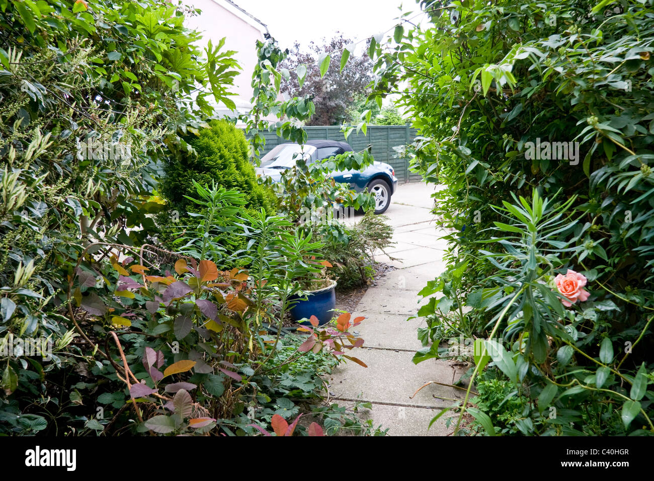 Overgrown garden hi-res stock photography and images - Alamy