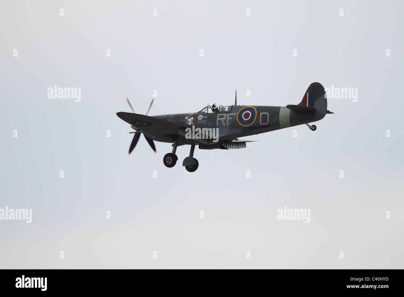 Supermarine Spitfire in flight Stock Photo - Alamy