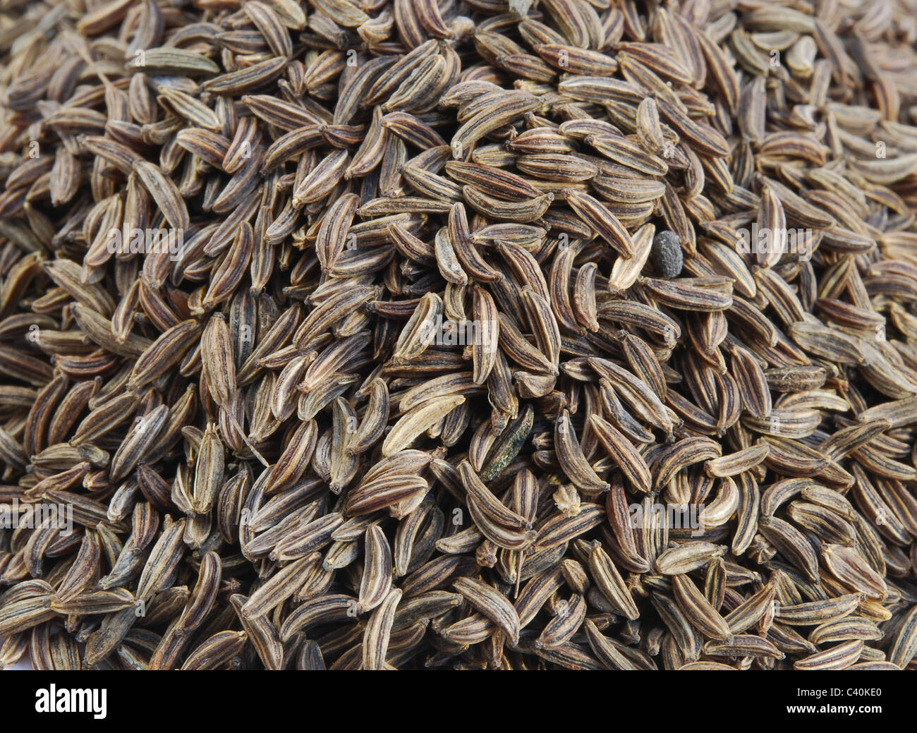 Cumin caraway hi-res stock photography and images - Alamy