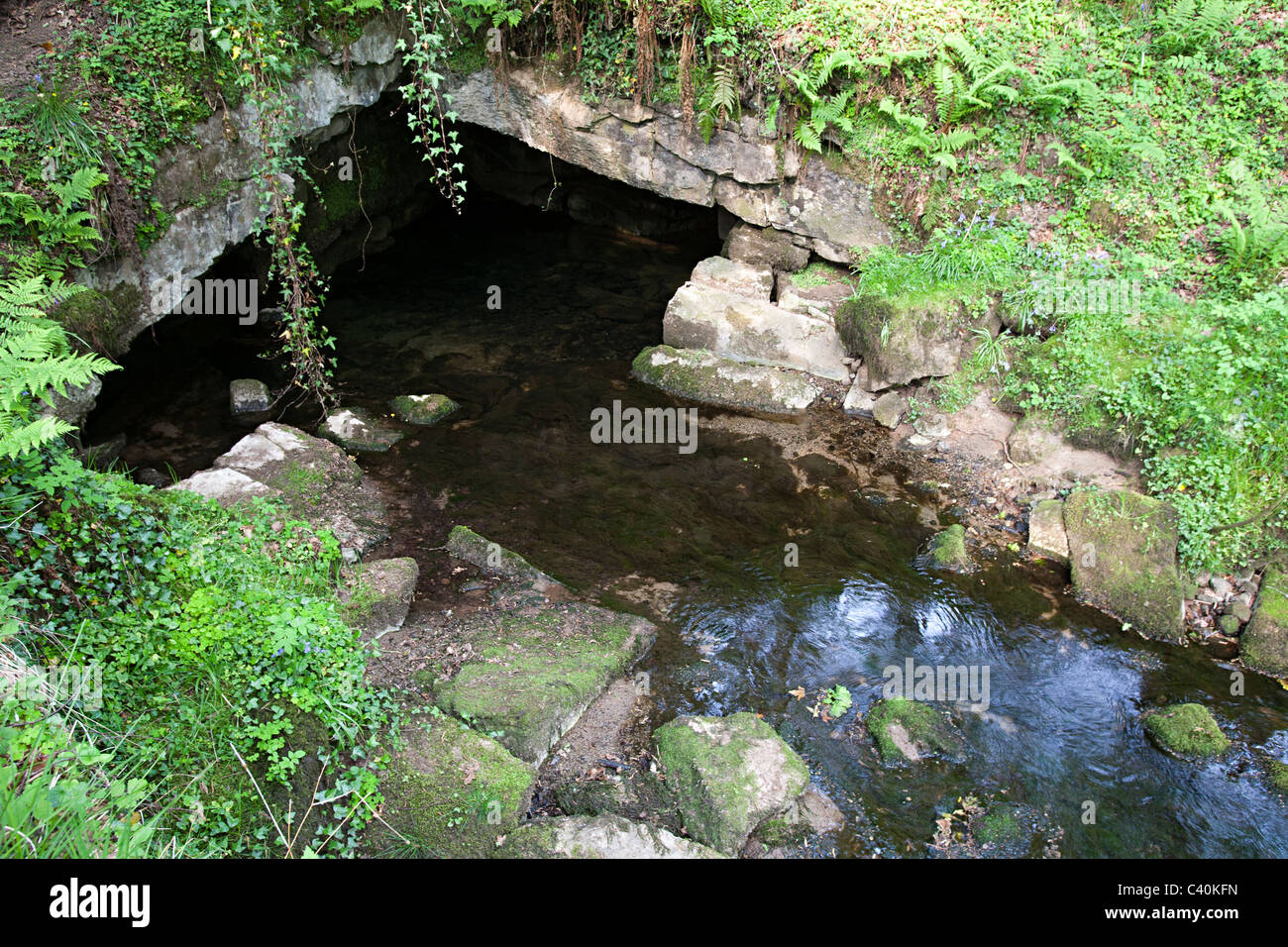 Spring water wales hi-res stock photography and images - Alamy