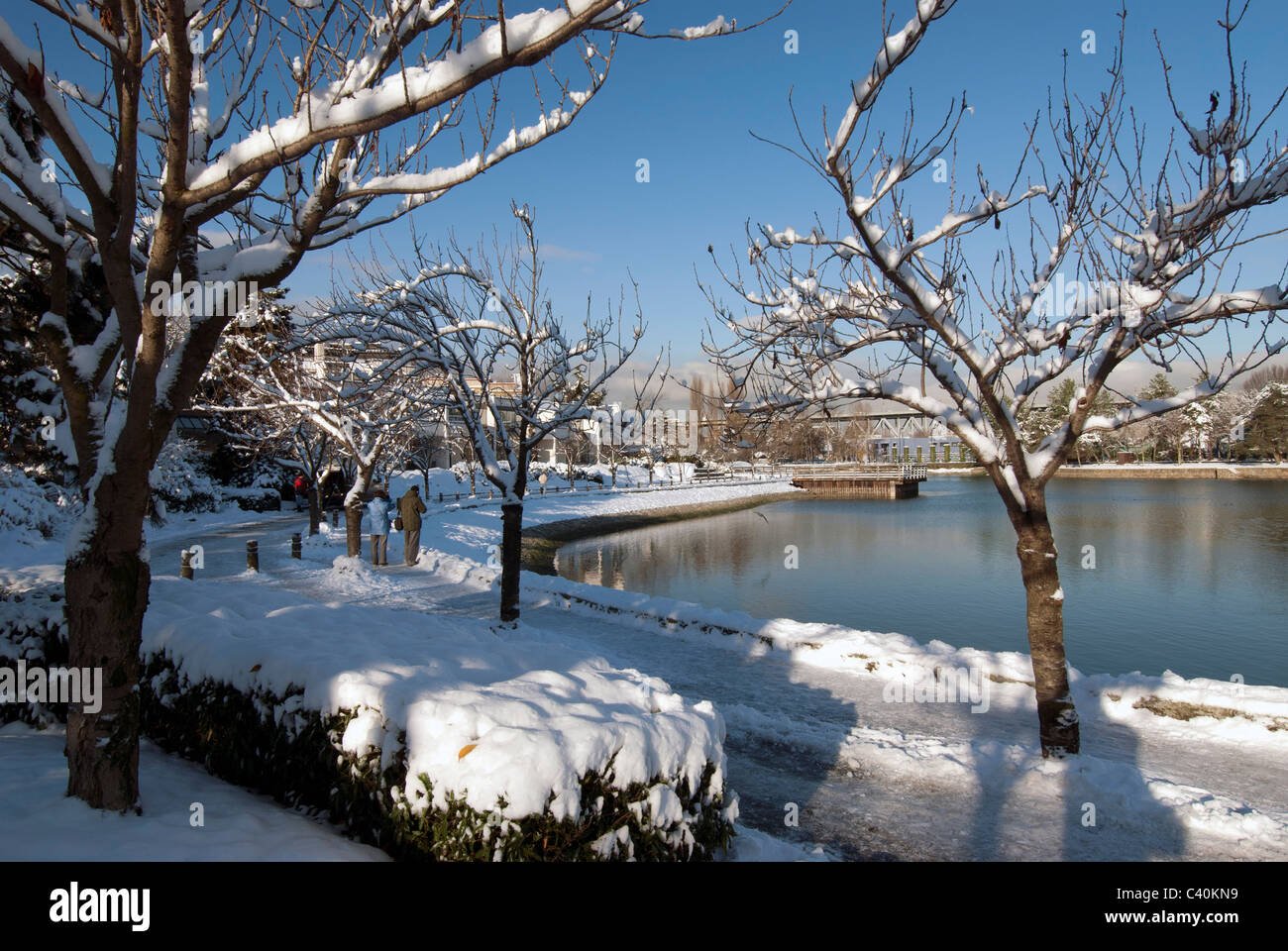 Vancouver and False Creek in winter Stock Photo - Alamy