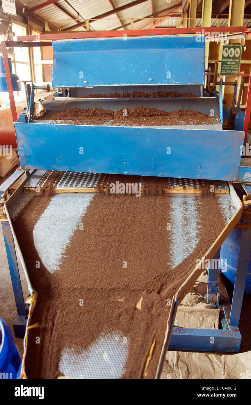 Sorting machine interior Dilma tea factory Hatton Central Highlands Sri ...
