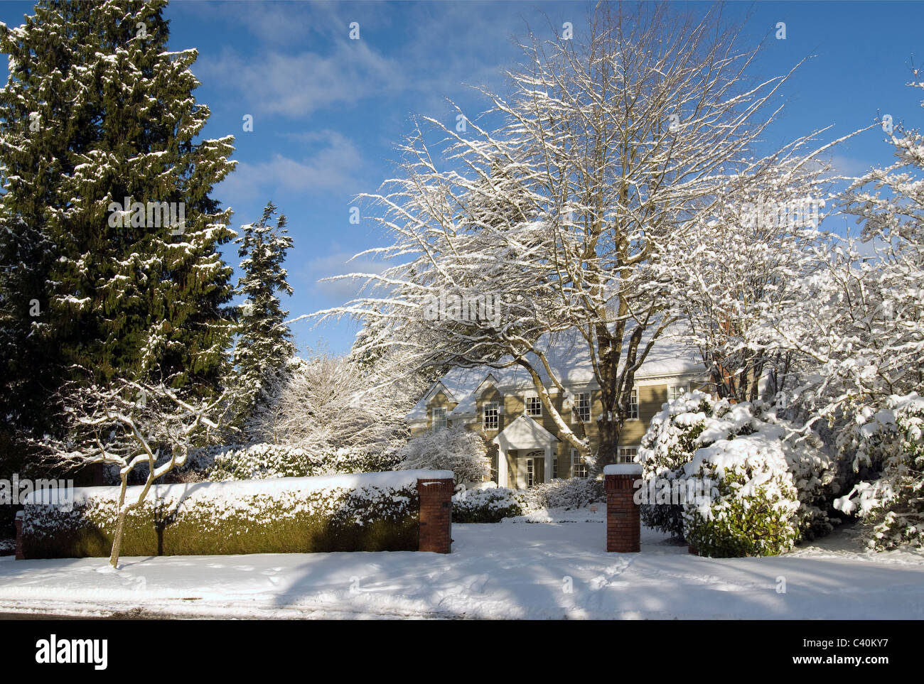 Countryside and trees under snow Stock Photo - Alamy