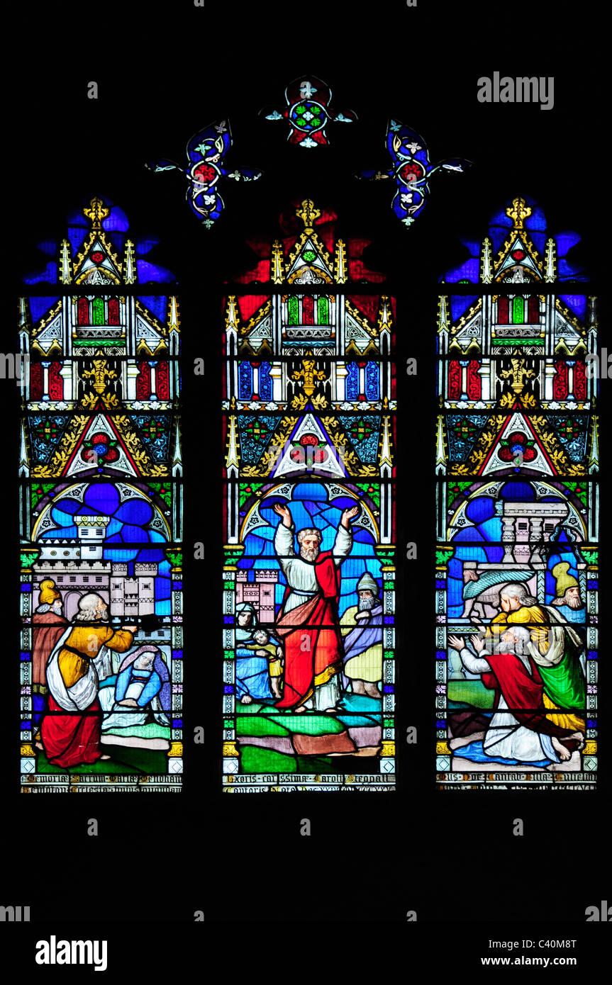 stained glass window Ely Cathedral Church Holy Undivided Trinity ...