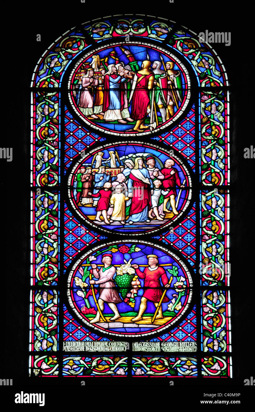 Is the principal church of the diocese of ely hi-res stock photography ...