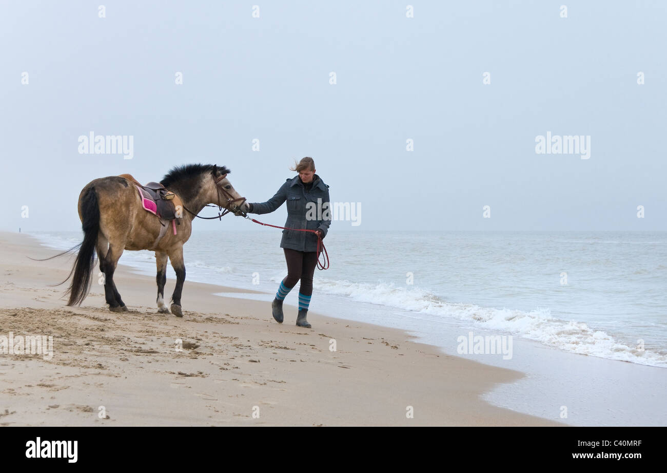 Woman walking horse beach hi-res stock photography and images - Alamy