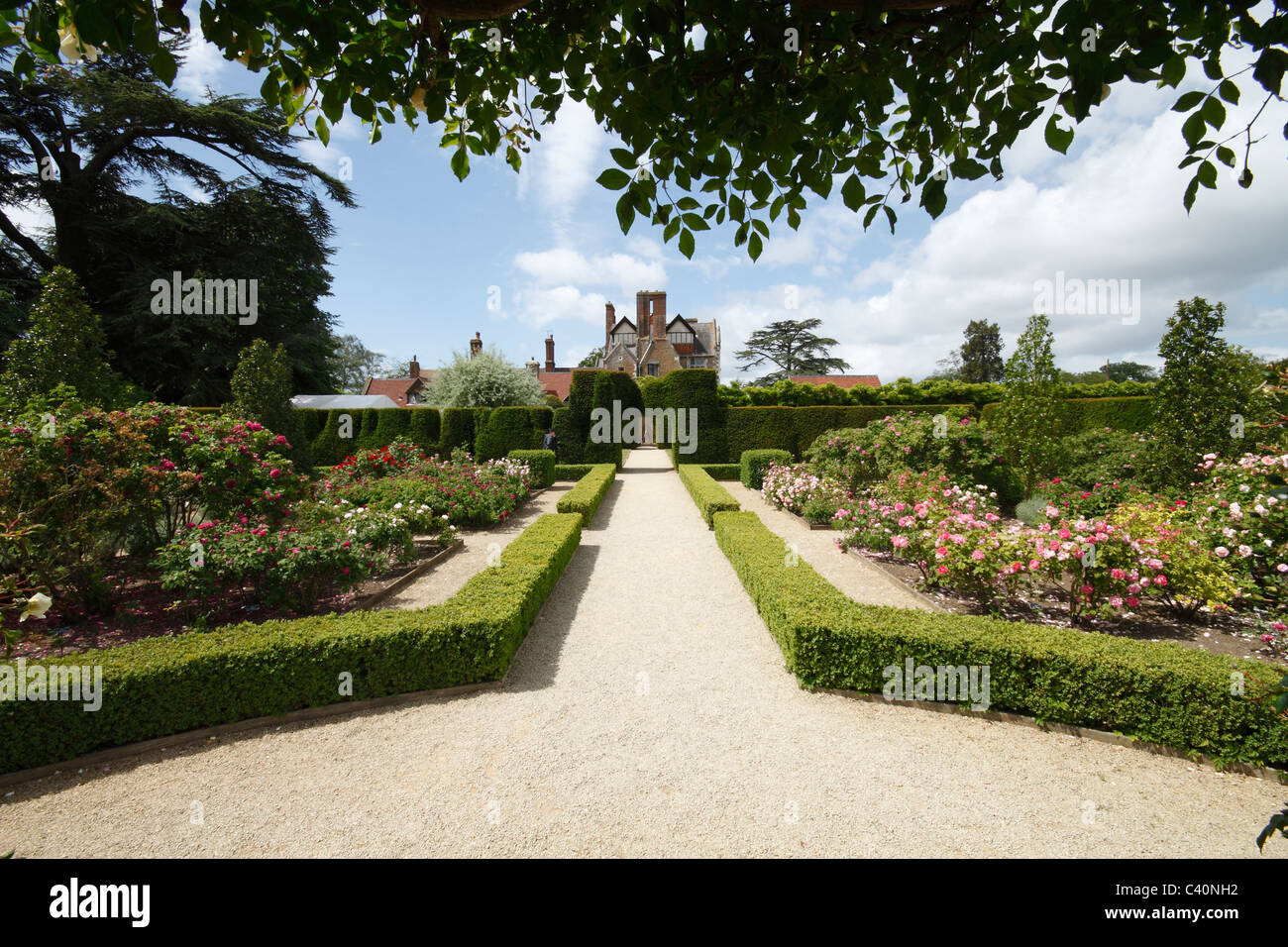 loseley house rose garden Stock Photo - Alamy