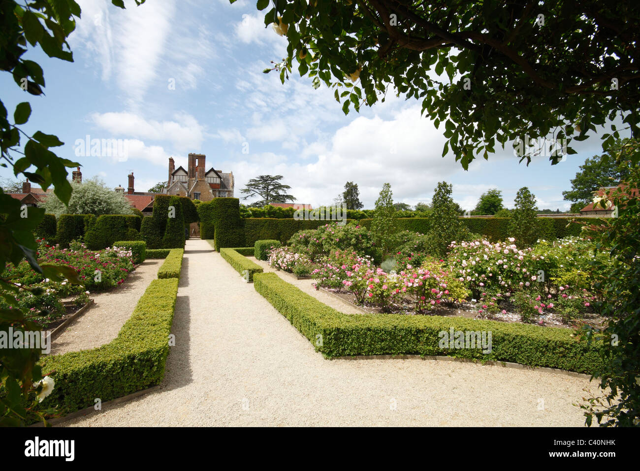 loseley house rose garden Stock Photo - Alamy