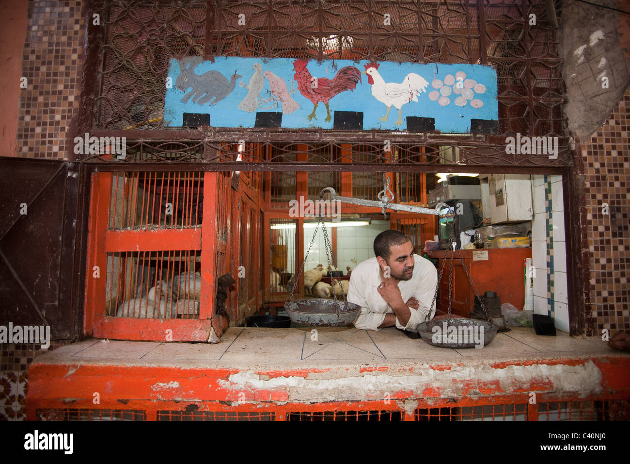 Chicken seller the Mellah Market Marrakesh Stock Photo - Alamy