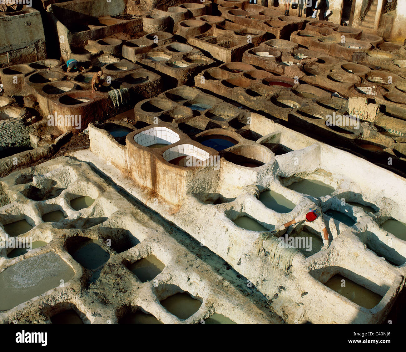 Dye, Fes, Holiday, Landmark, Morocco, Africa, Africa, Plant, Tanning ...