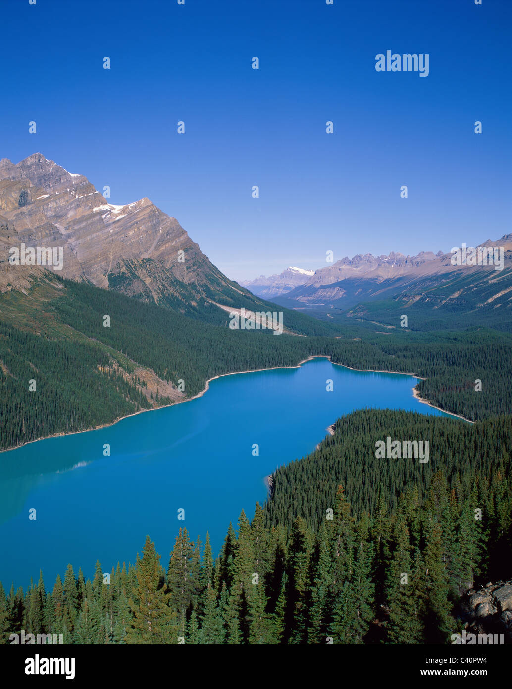 Alberta, Banff, Banff national park, Canada, North America, Forest ...