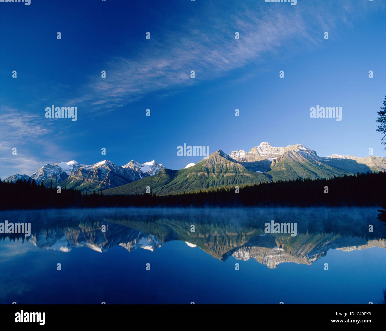 Alberta, Banff, Banff national park, Canada, North America, Forest ...