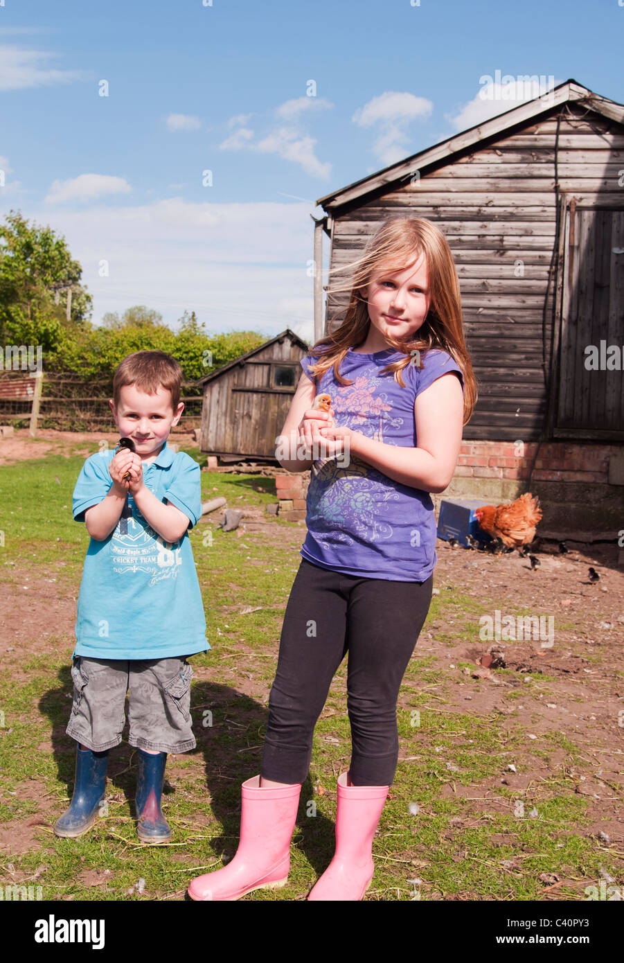 Child wellies chickens hi-res stock photography and images - Alamy