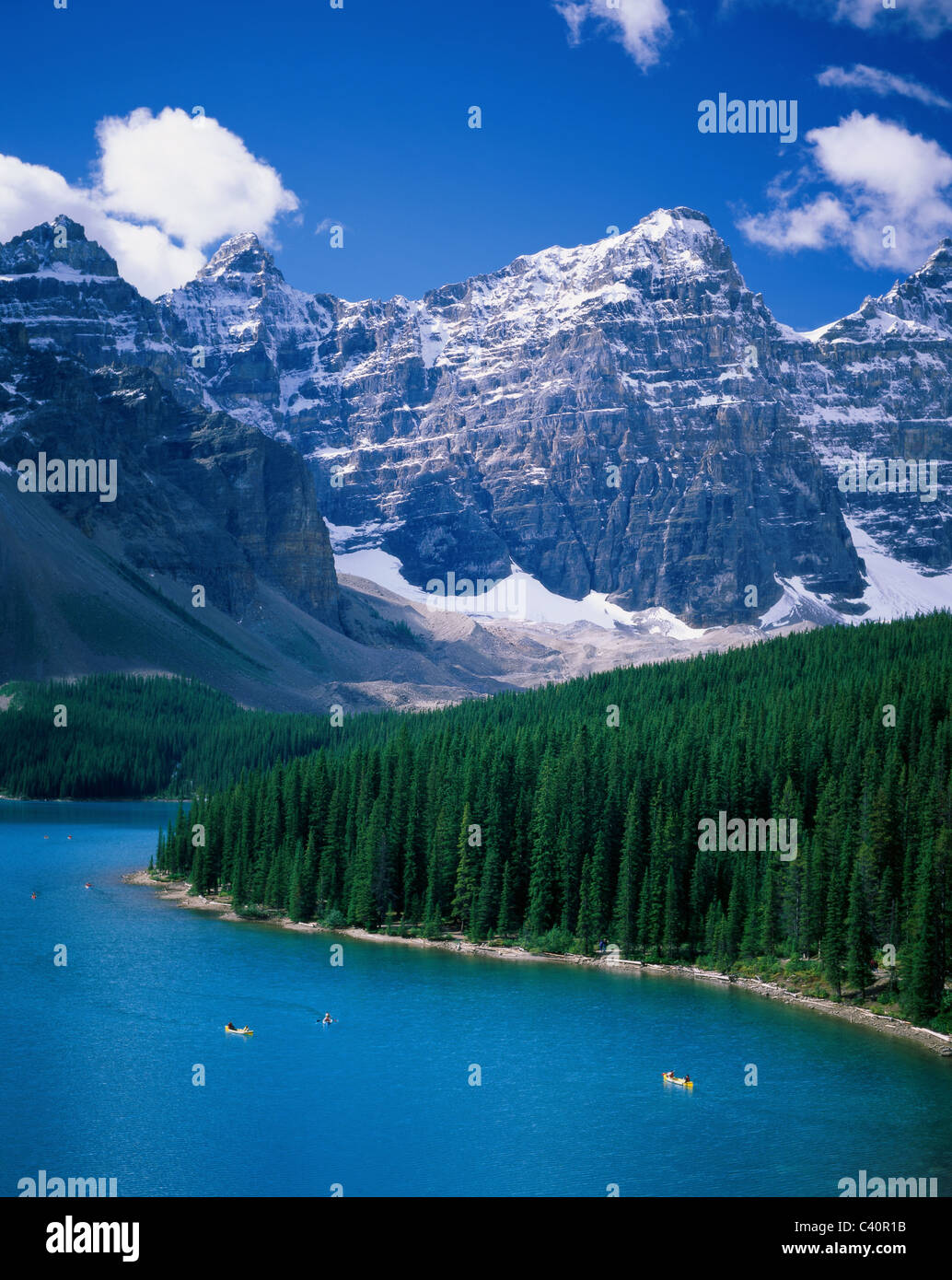 Alberta, Banff, Banff national park, Canada, North America, Forest ...