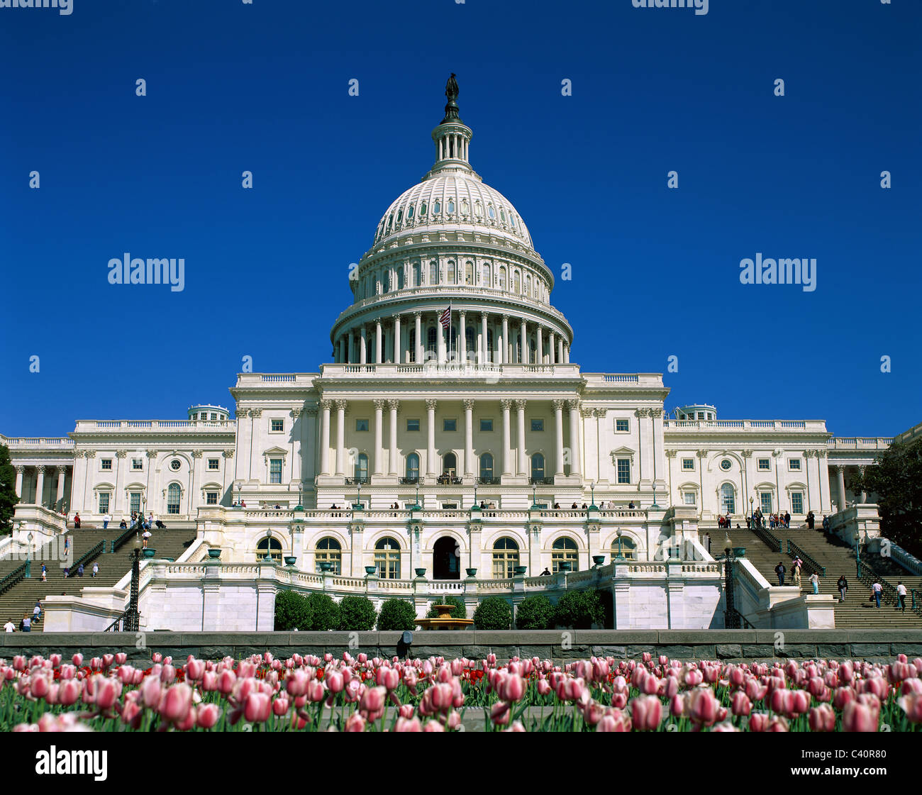America, Capitol building, Columns, Congress, Dome, Freedom, Government ...