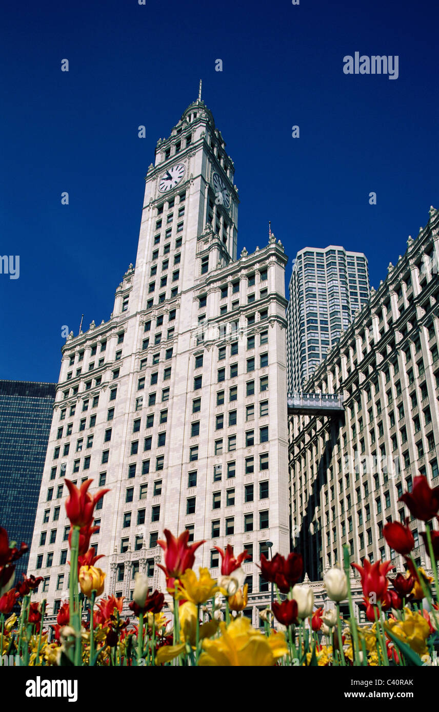 America, Architecture, Blue, Building, Chicago, Flowers, Grand, Holiday ...