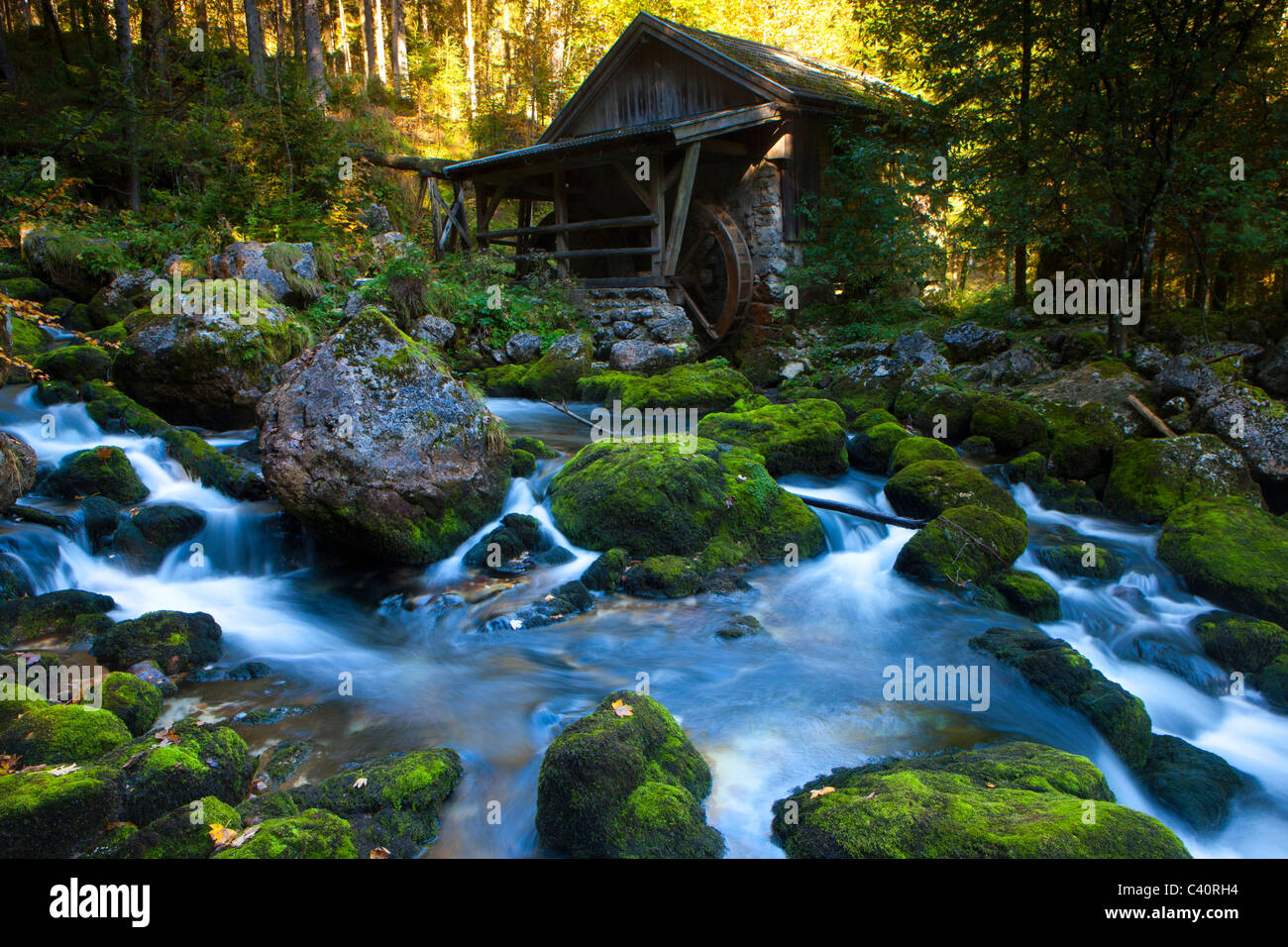 Golling, Austria, Europe, Salzburg, wood, forest, brook, stones, moss ...