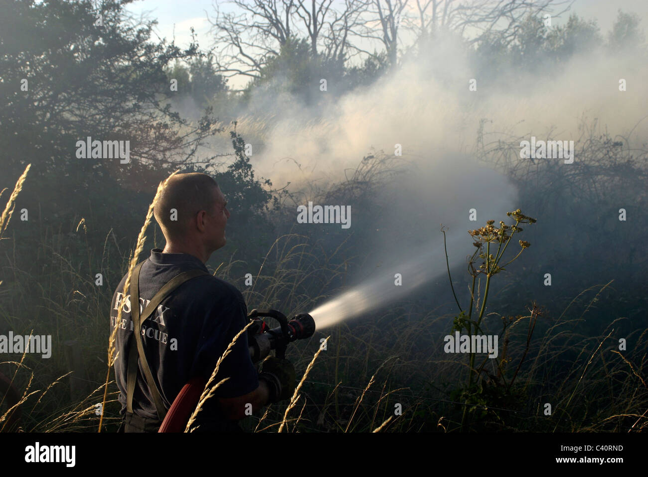 Firefighters tackle a fire in woods Stock Photo - Alamy