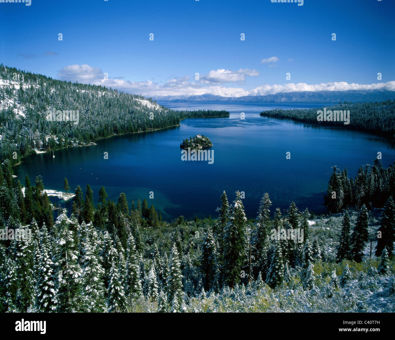 America, Cold, Forest, Frost, Holiday, Island, Isolated, Isolation ...