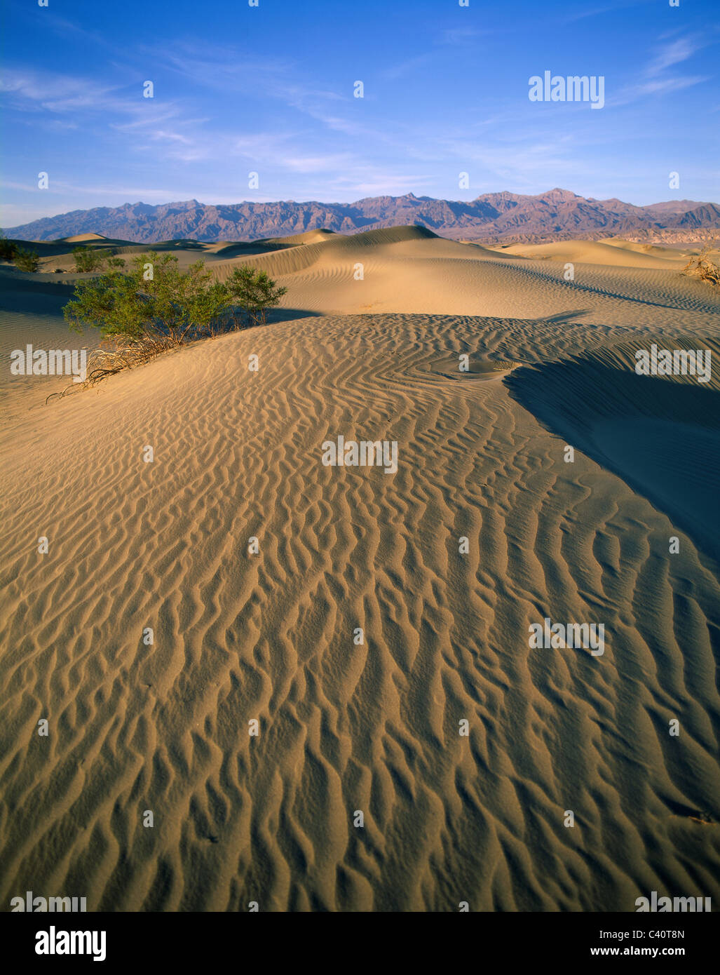 America, Arid, Barren, California, Death valley, Desert, Dry, Dunes ...