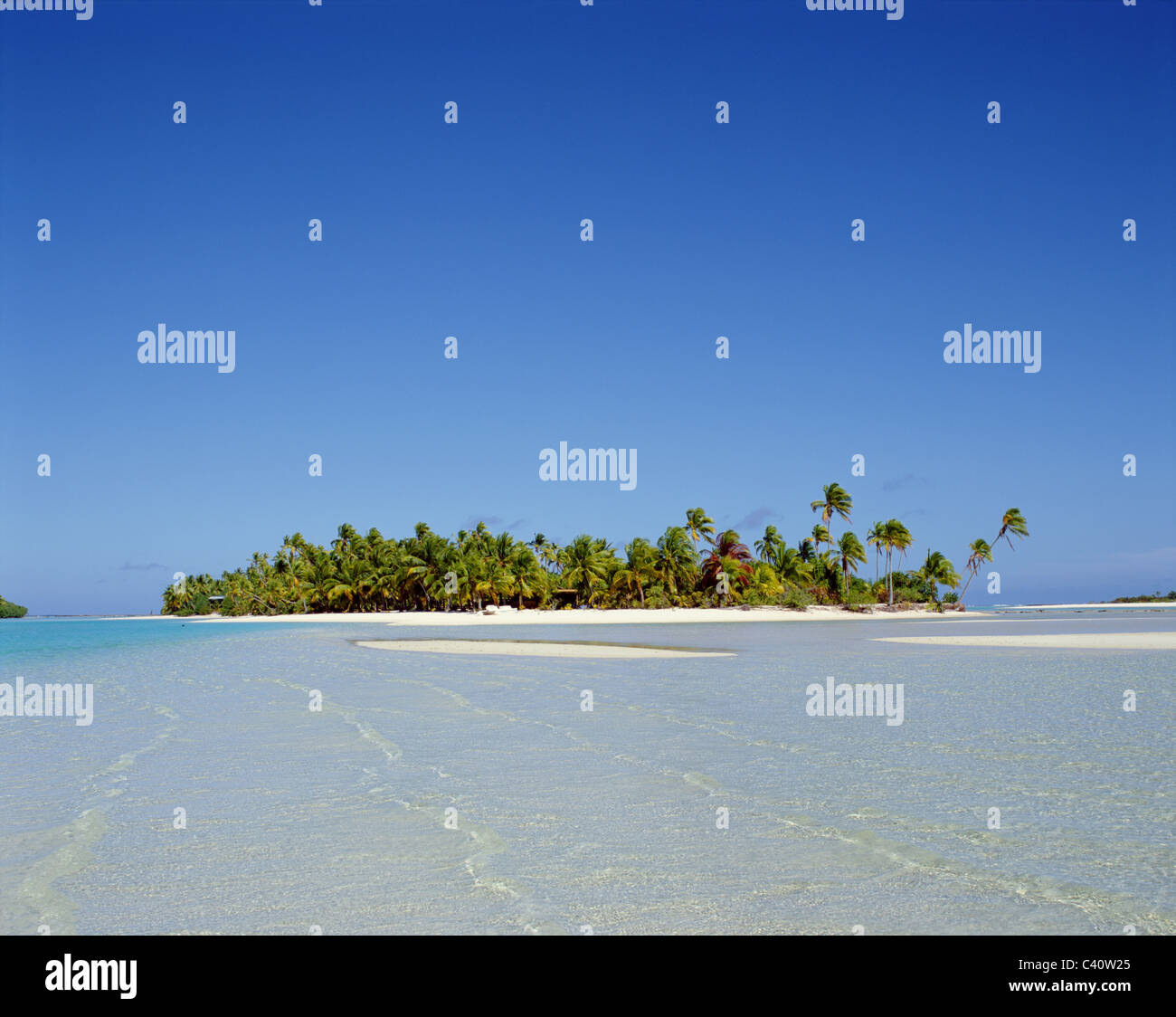 Aitutaki, Atoll, Beach, Cook islands, Holiday, Island, Landmark, Palm ...