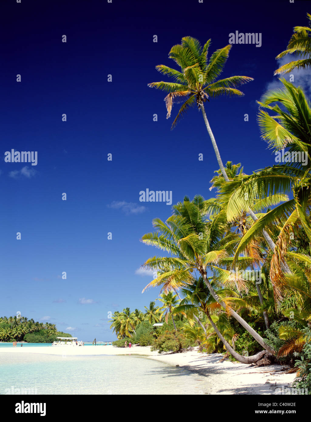 Aitutaki, Atoll, Beach, Cook islands, Holiday, Island, Landmark, Palm ...