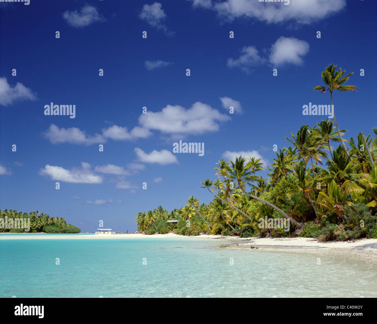 Aitutaki, Atoll, Beach, Cook islands, Holiday, Island, Landmark, Palm ...