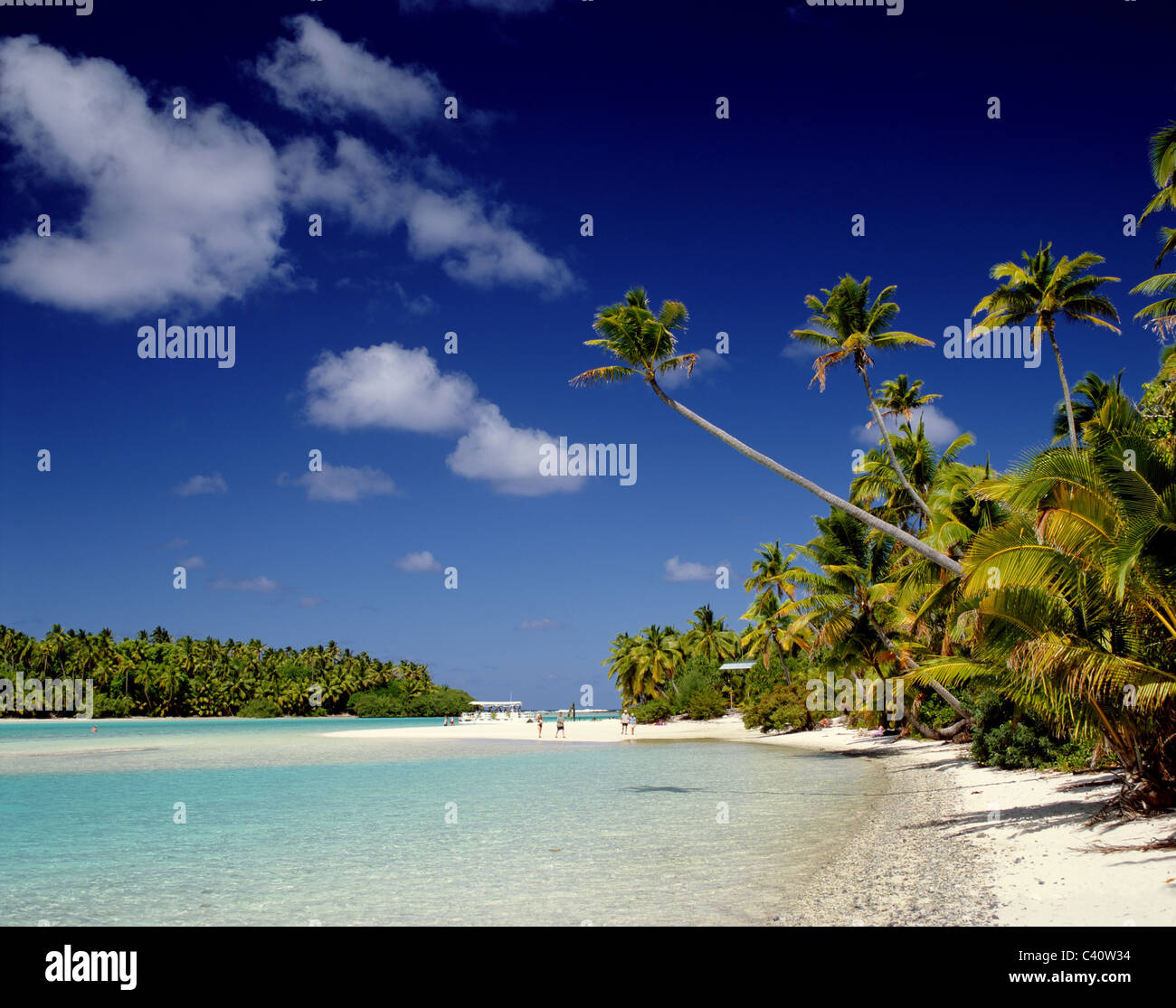 Aitutaki, Atoll, Beach, Cook islands, Holiday, Island, Landmark, Palm ...